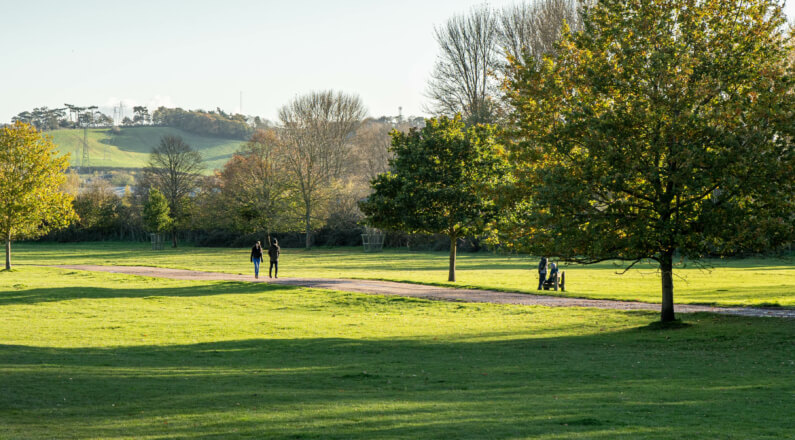 Beautiful 1 to 4 Bed Houses | Elm Park, South Exeter | Cavanna Homes