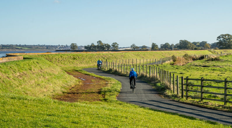Beautiful 1 to 4 Bed Houses | Elm Park, South Exeter | Cavanna Homes