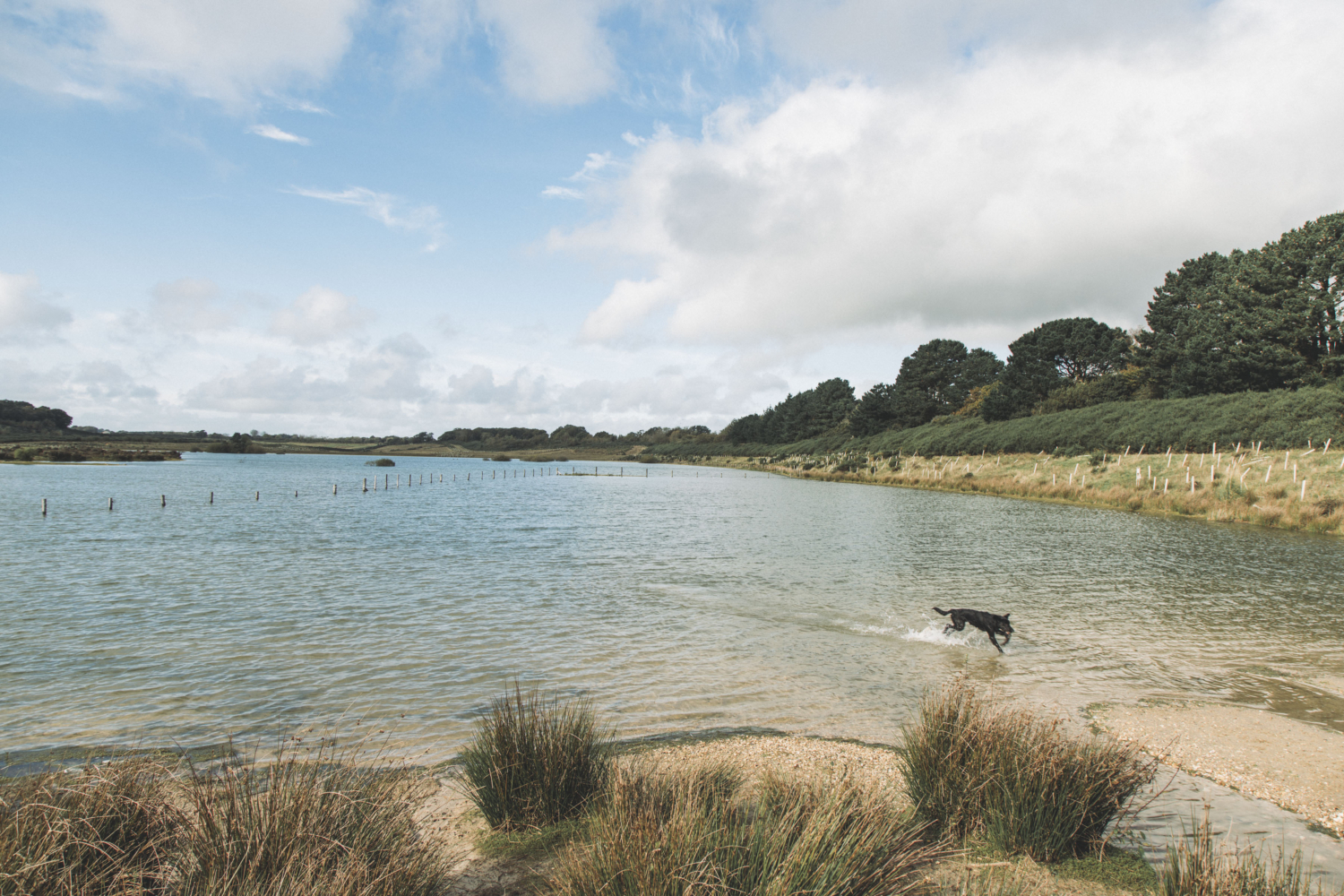 Warmwell Rise New houses for sale in Dorset | Cavanna Homes