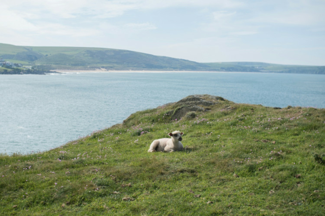 Walking in Devon | Best Walking Routes in North & South Devon